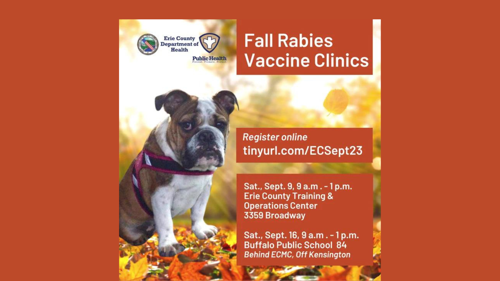 Erie County to host rabies clinics – All WNY