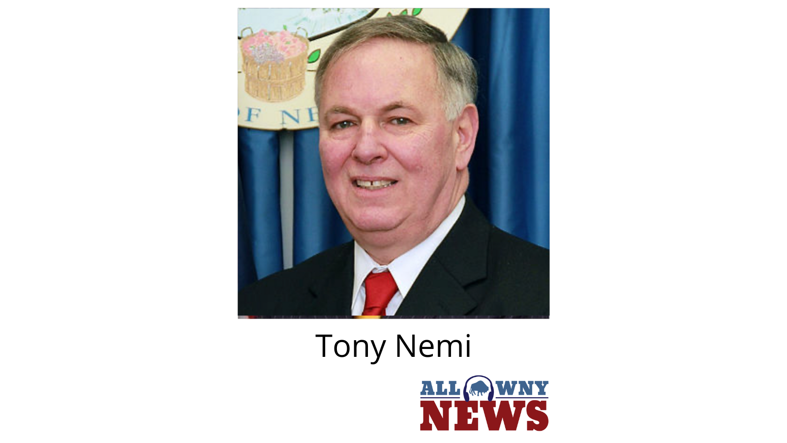 Niagara County Legislator Tony Nemi appointed to two committees by ...